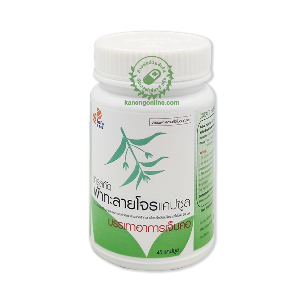 ห้างหุ้นส่วนจำกัด กันเองฟาร์มาซี กรุ๊ป | Kaneng Pharmacies Group